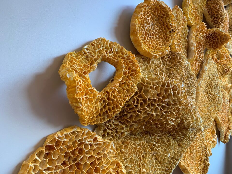 About Us – Gallery Stratford